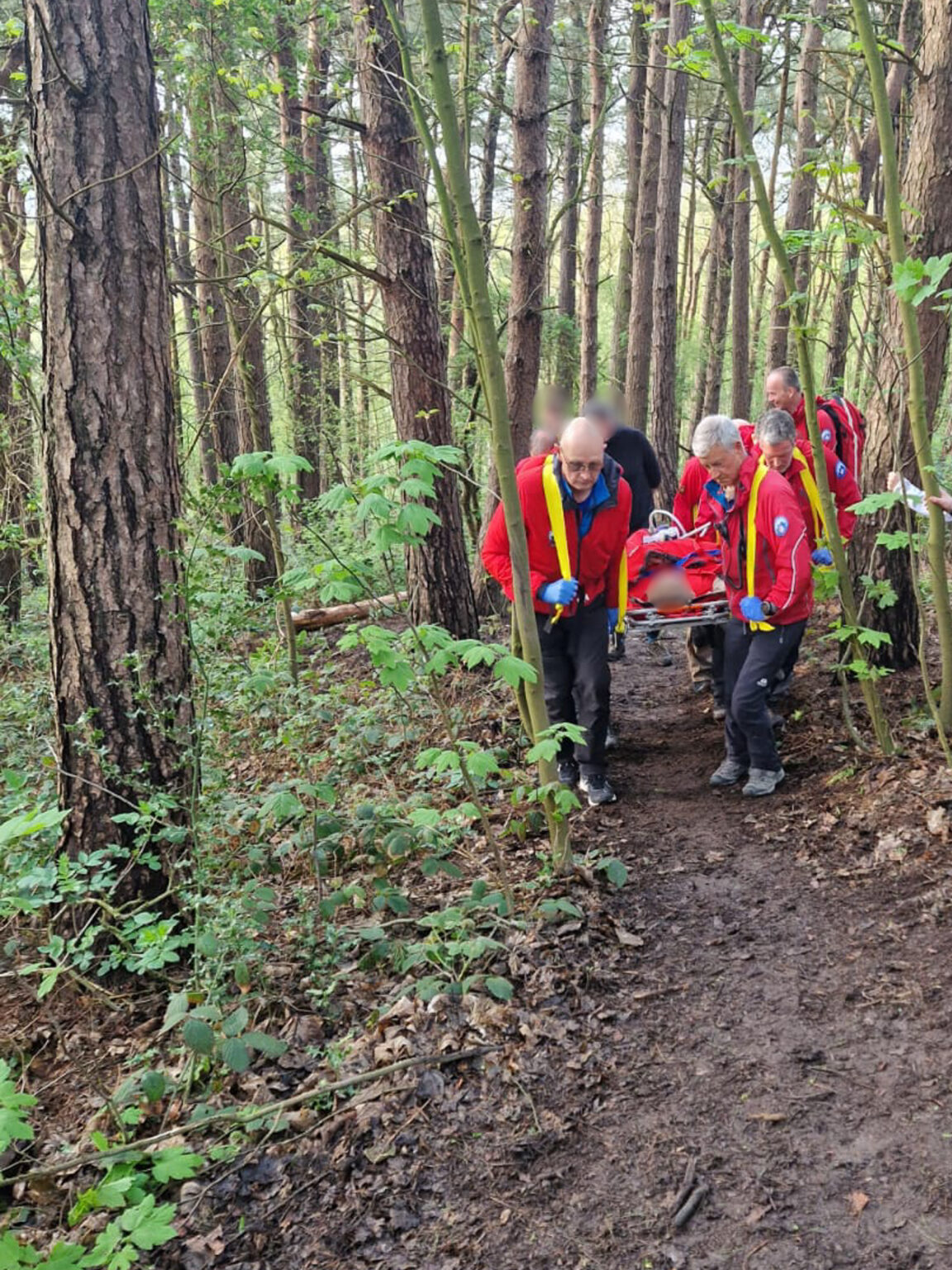 Ambulance Assistance – Errington Woods – Cleveland Mountain Rescue